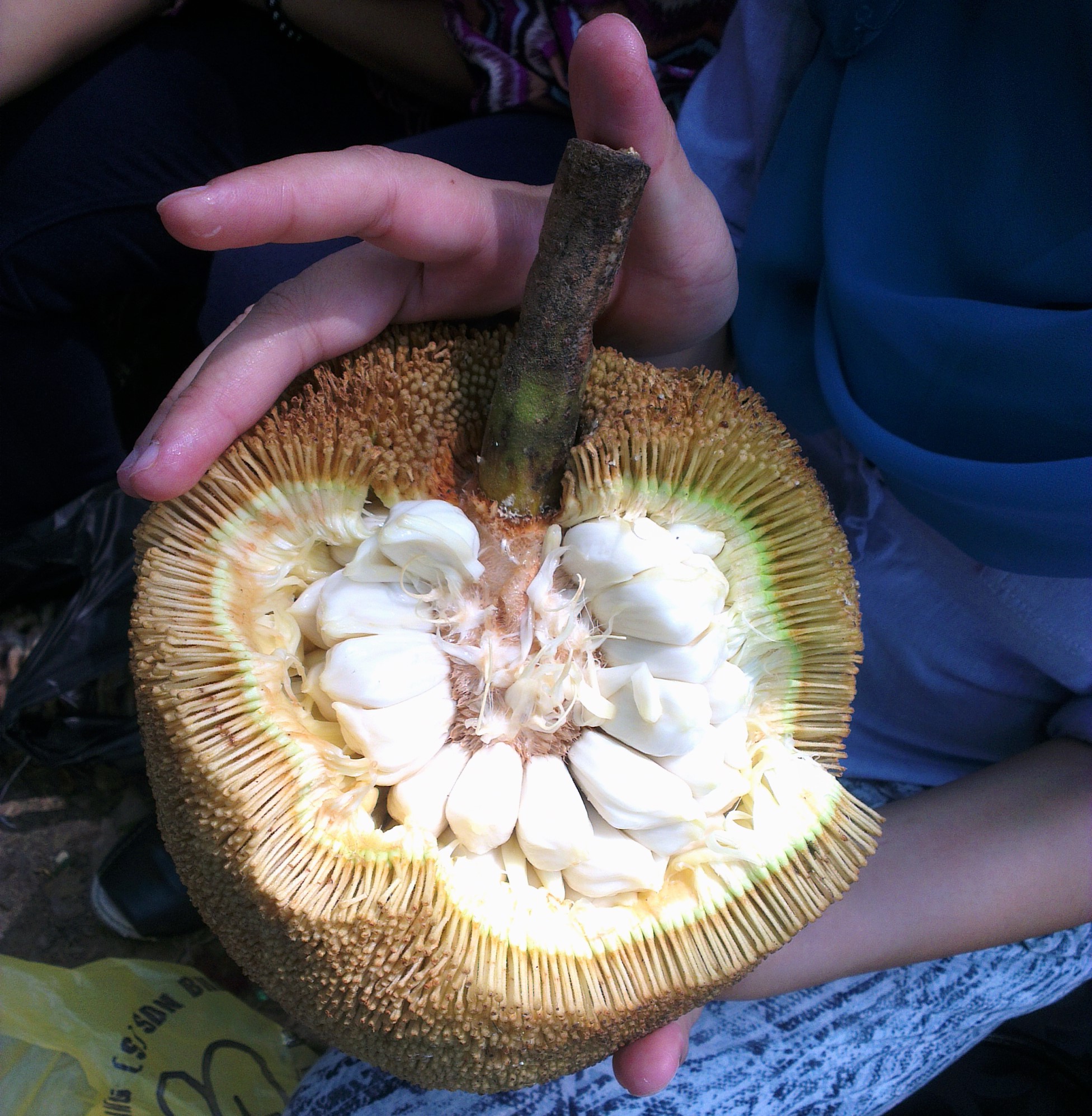 Tarap – Dan On The Road